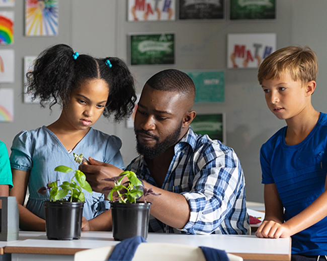 Brain-Building STEM Activites for Kids