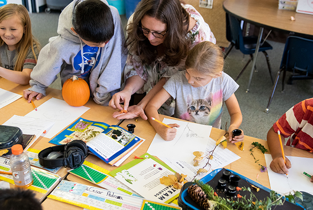 TCM Products | Teacher Created Materials